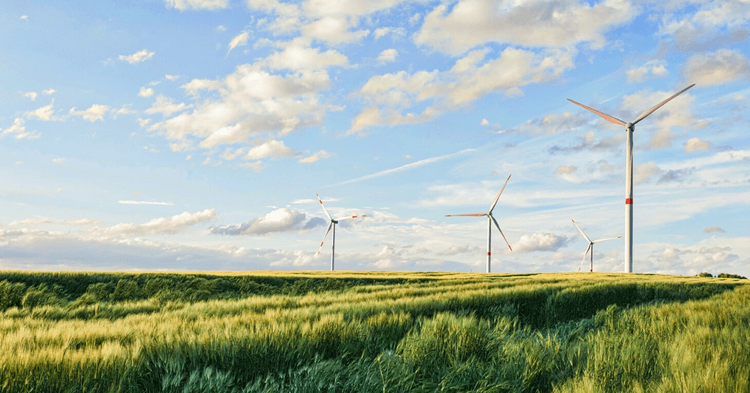 What you need to know about Scope 3 Emissions for CSRD | Cargobase